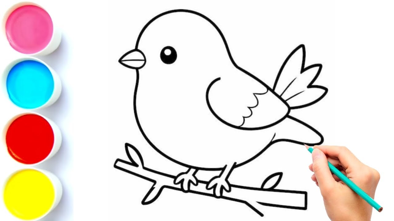 Bird Drawing Easy | Bird Sitting on a Branch Drawing | Draw Smart - YouTube