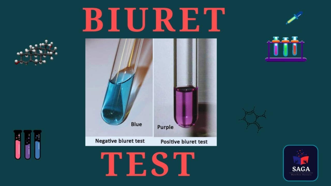 BIURET TEST FINAL full description| BIURET TEST FOR PROTEIN ESTIMATION ...
