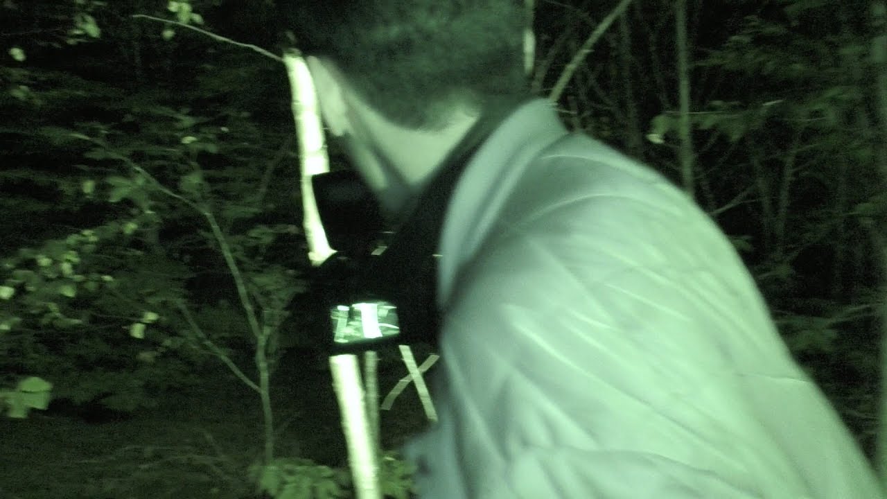 Britain's Most Haunted Forest (Screaming Woods!) LEFT - YouTube