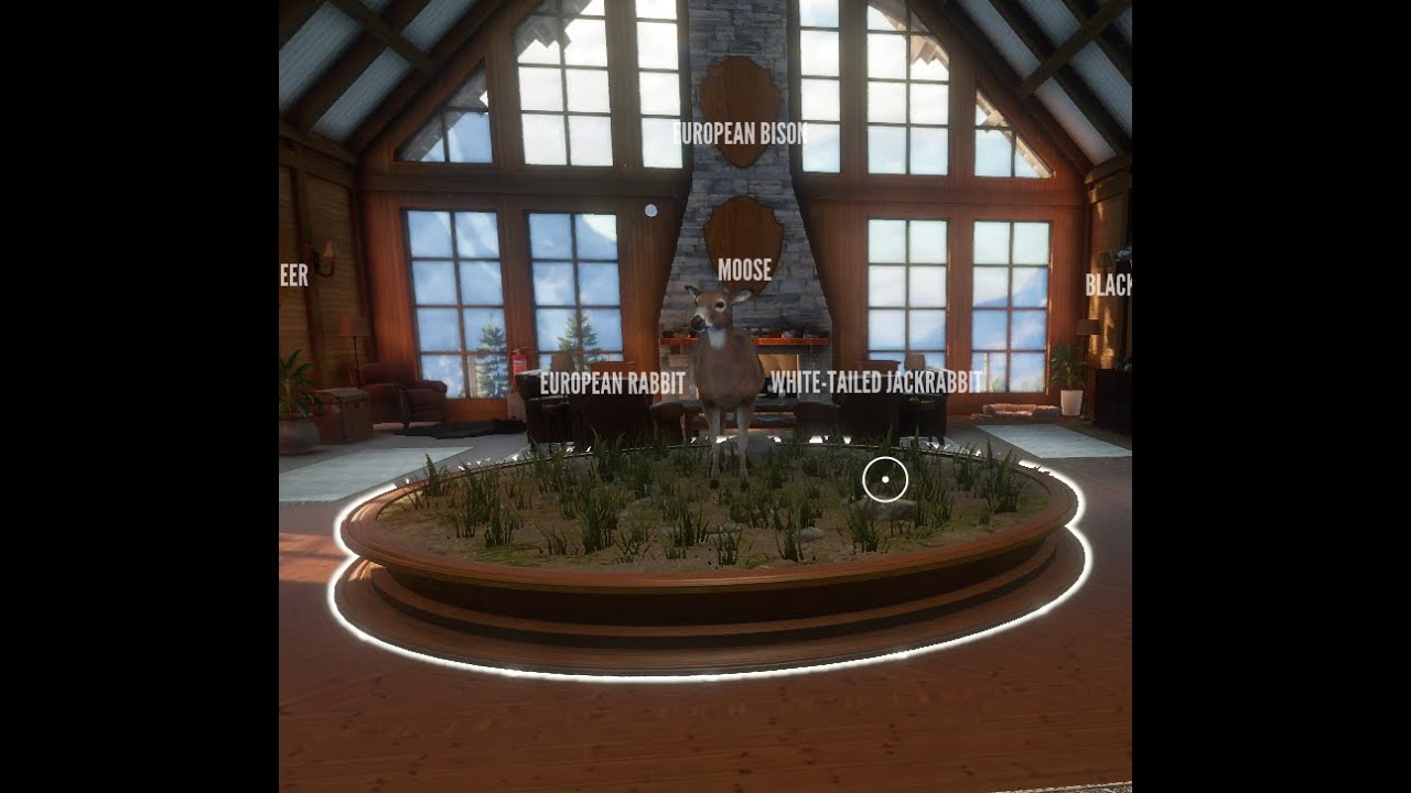 Chat, Music, Relax - YouTube