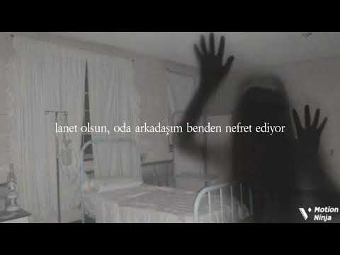 roommate wanted - türkçe çeviri | GRLWOOD