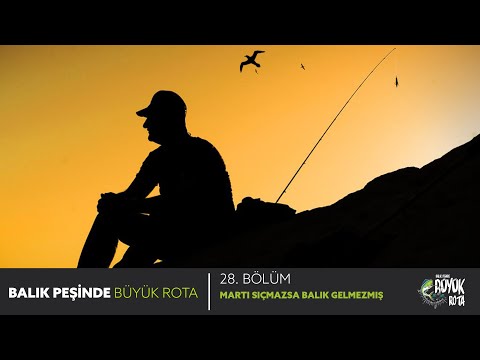 Balık Peşinde Büyük Rota 28. - Ömer Baydak - MARTI SIÇMAZSA BALIK GELMEZMİŞ