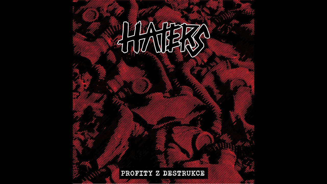 Haters - Profity z destrukce (12¨ Split LP Haters/Koituss 2024 ...