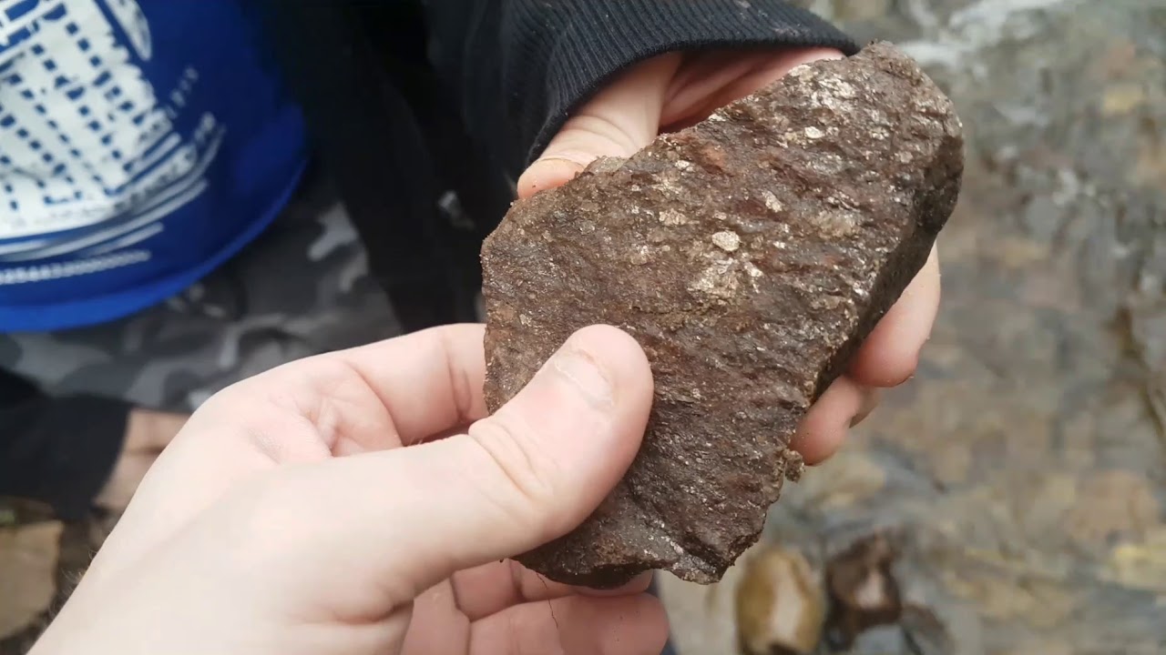 Highland Gold The return of the haggis - YouTube