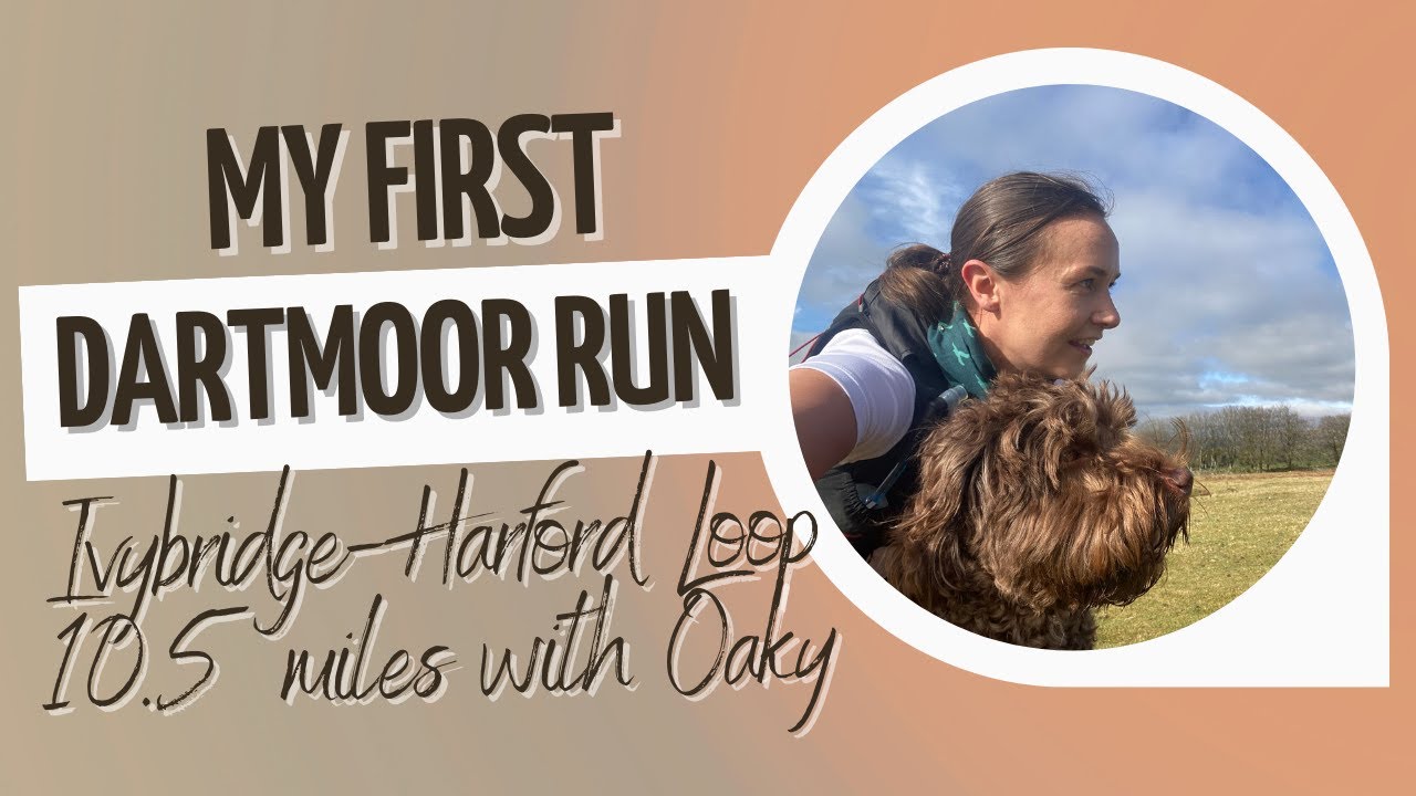 My first trail run on Dartmoor | 10.5 miles canicross | Filham to ...