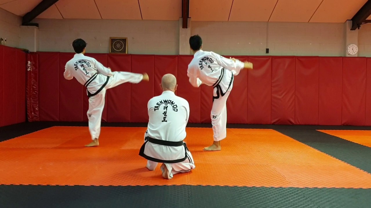 TAEKWON-DO - Gae Baek Tul - YouTube