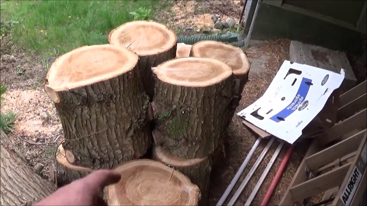 Solo Cedar Removal - YouTube