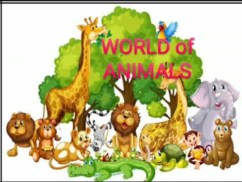 World of Animals ( class 1 and 2 EVS for CBSE, ICSE)| Knowledge Park ...