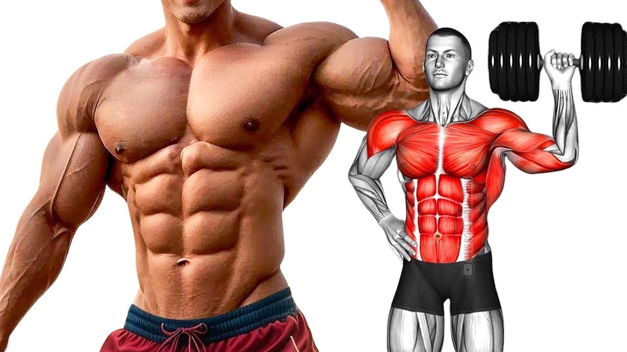 The Best Upper Body Workout (Chest, Shoulder and Back, Biceps,Triceps ...