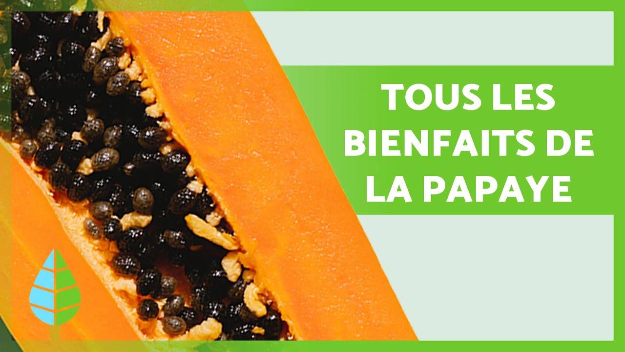 BIENFAITS de la PAPAYE pour la SANTÉ 🧡 Propriétés et comment la manger ...
