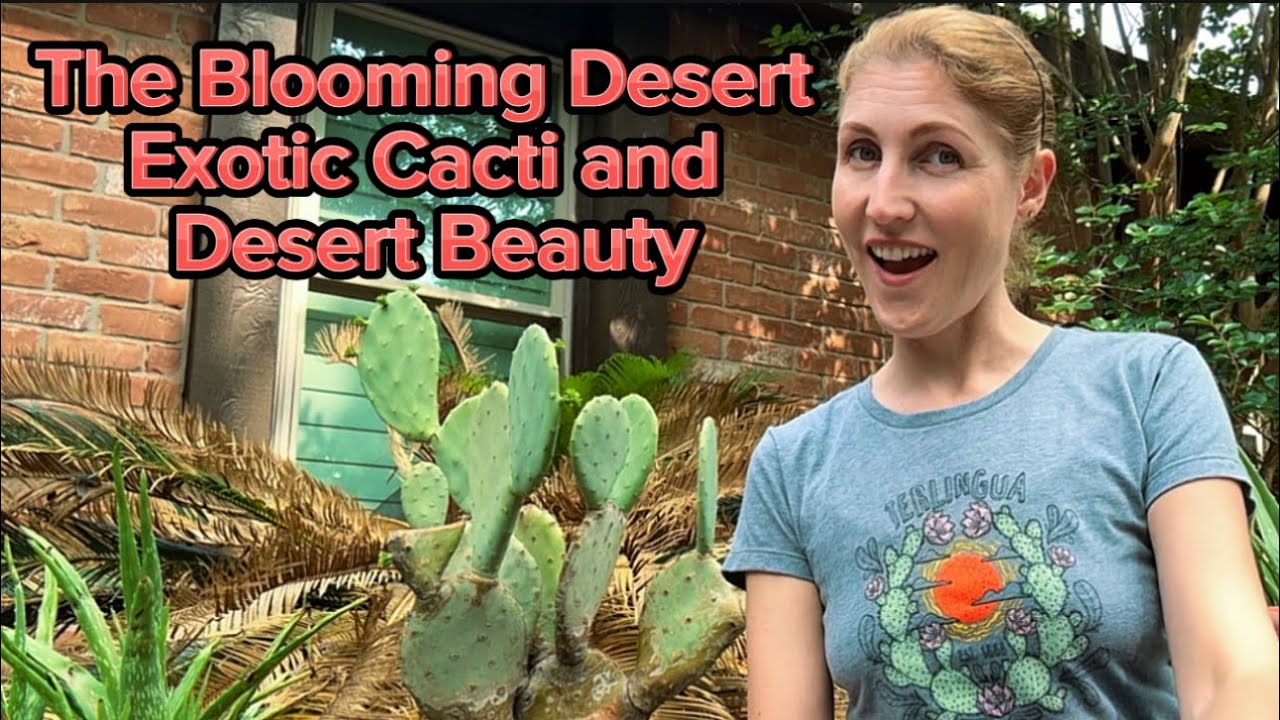 Exotic Cacti Collection & Desert Beauty - YouTube