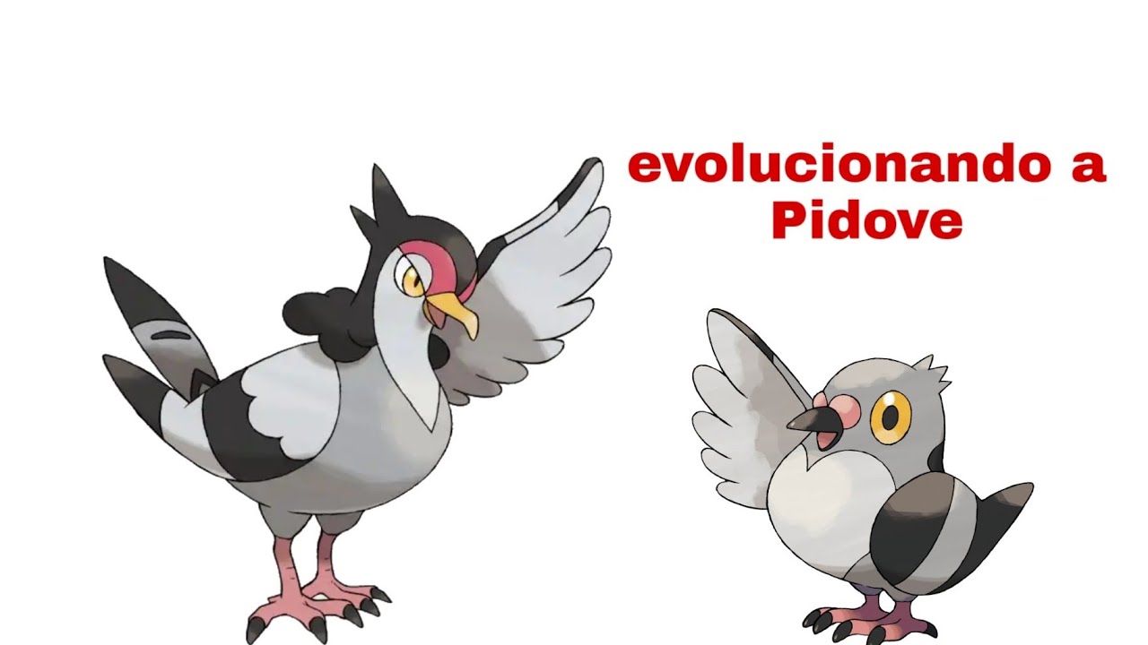 Pokemon Pidove Evolution Chart