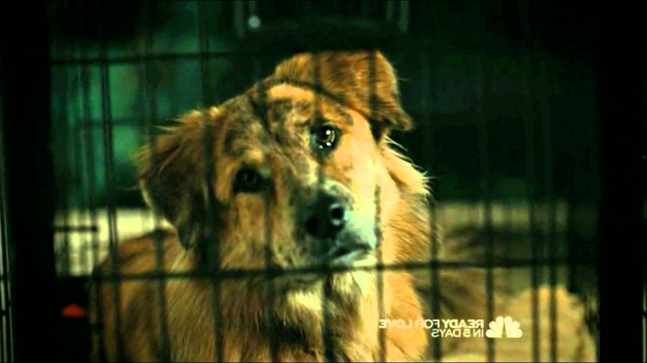 Winston Wash - YouTube