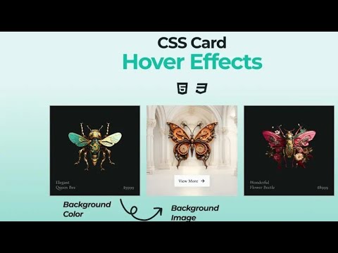 Hover Effect in CSS || Web designing #webdigidesigns #htmlacademy # ...