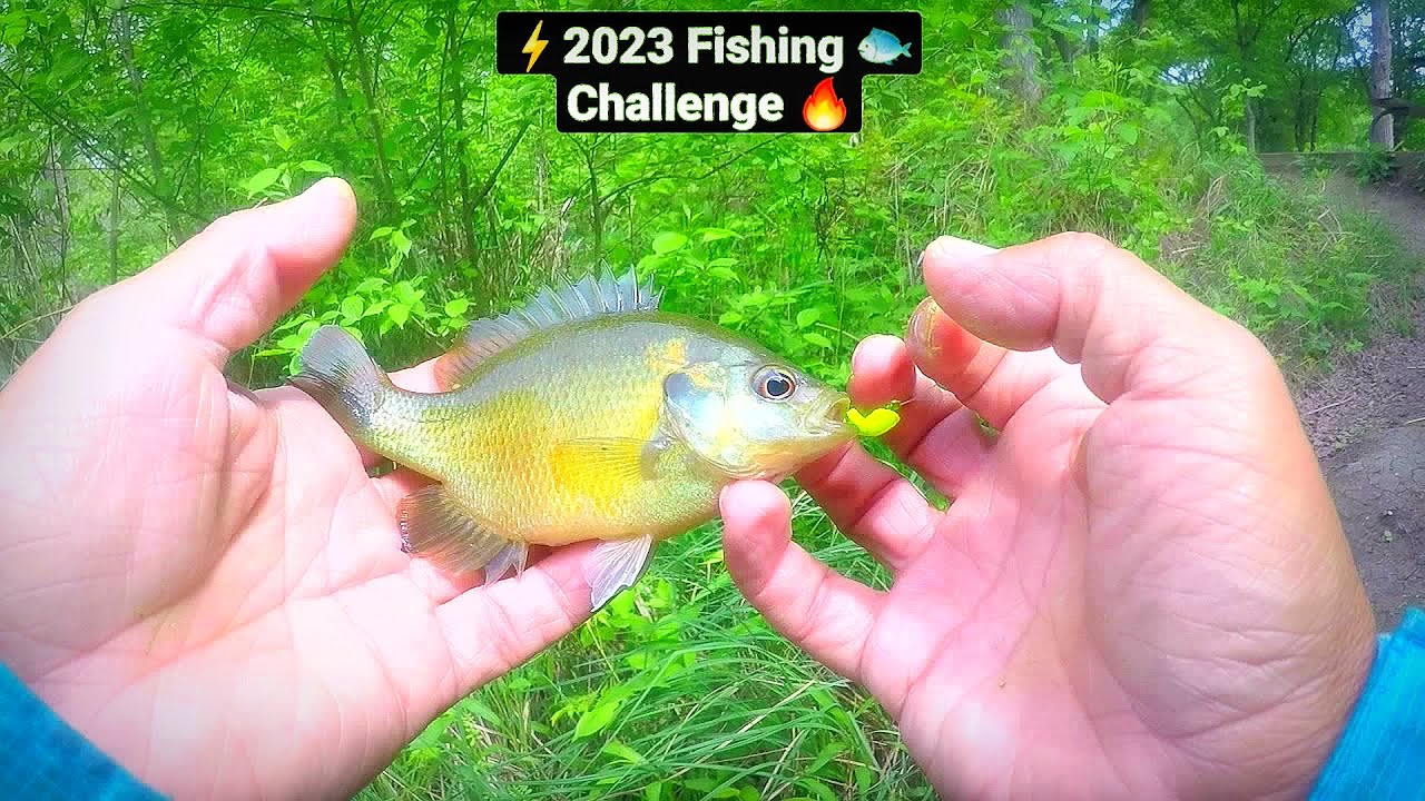 💥(Day 86)Catch 1 fish 🐟 EVERYDAY 😜 [Fishing Challenge] #youtube # ...