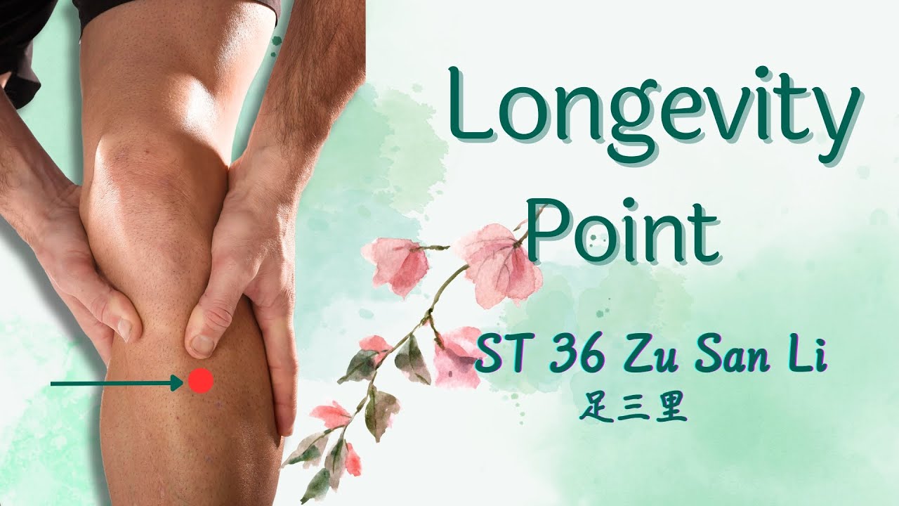 The Nr. 1 Longevity Acupressure Point Revealed: Live Until 180! St36 Zu ...