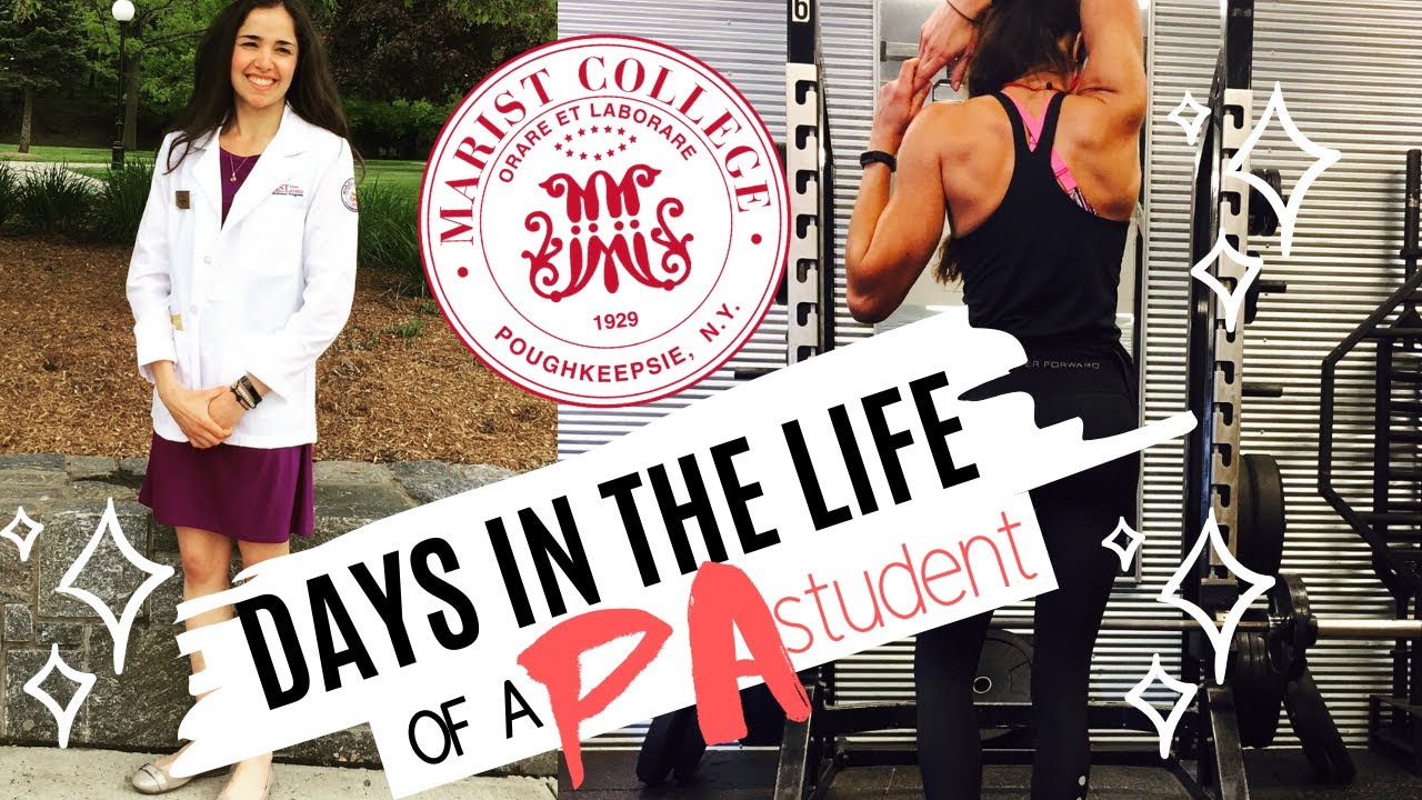 Days In the Life of a PA Student || Gym, Studying, Didactic Year Life ...