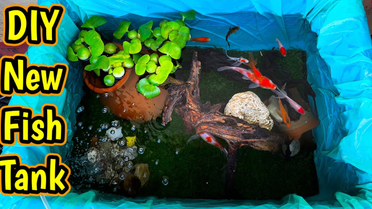 New DIY Outdoor Fish Tank Low Budget 😃 ️ for Imported Koi Carp and ...