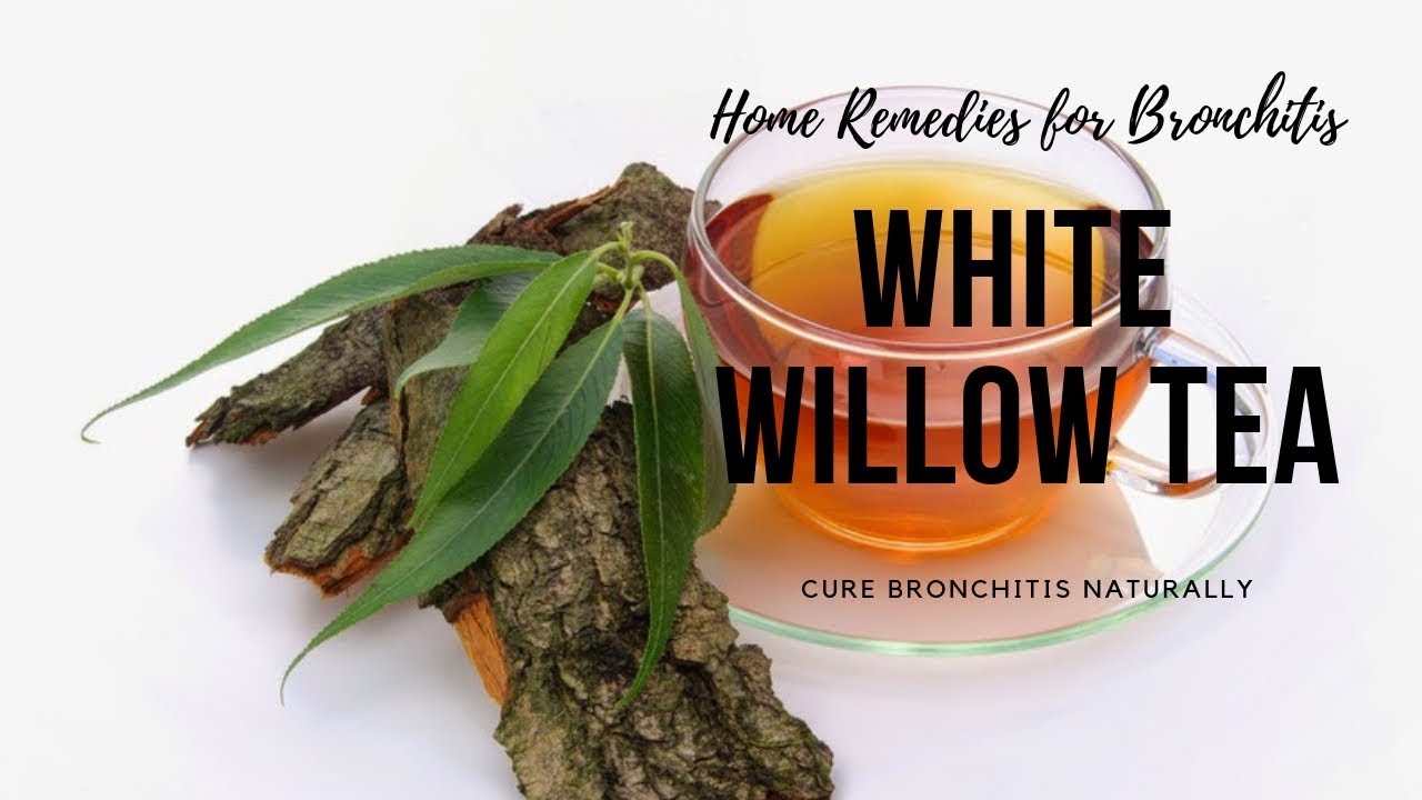 Home Remedies for Bronchitis - White Willow Tea can cure Bronchitis ...