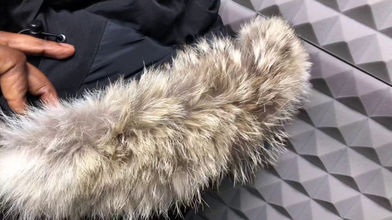 Canada goose real and fake - YouTube