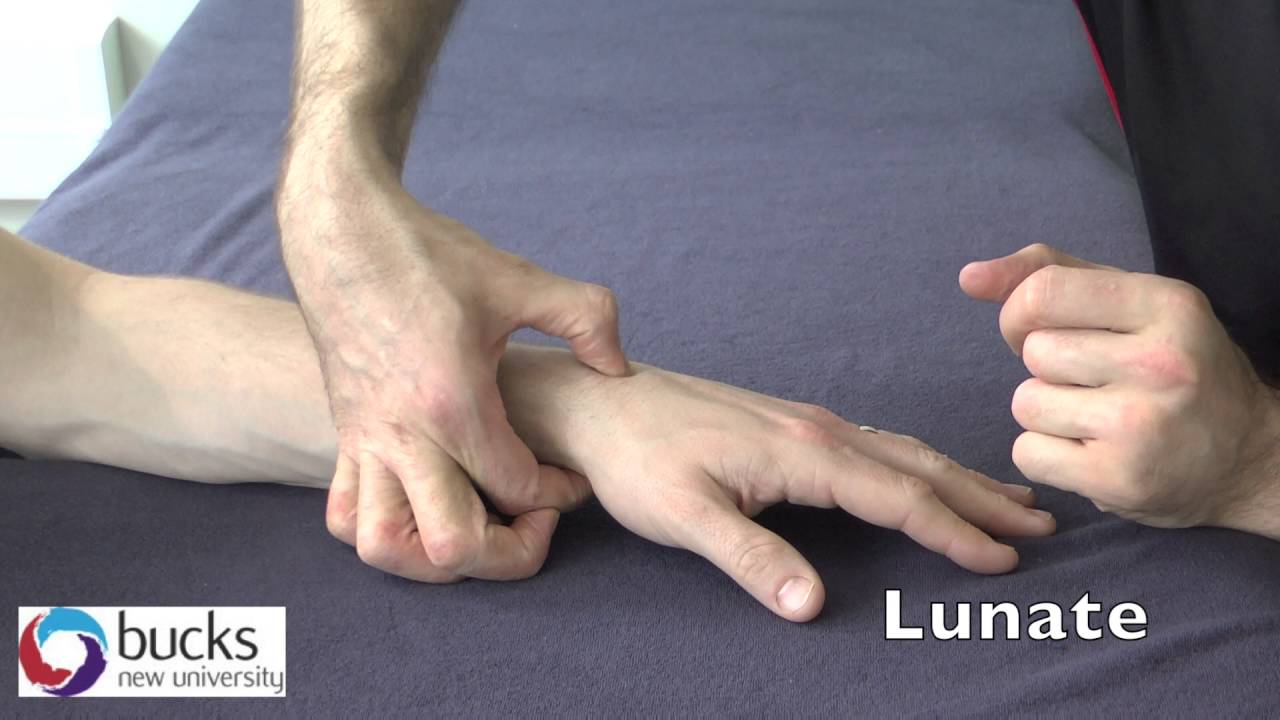 Bucks New University Wrist and Hand palpation - Year 1 SL442 - YouTube