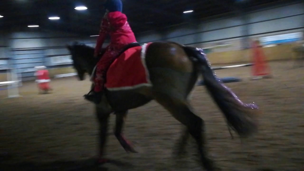 Christmas Handy Pony Phili and Bunny - YouTube