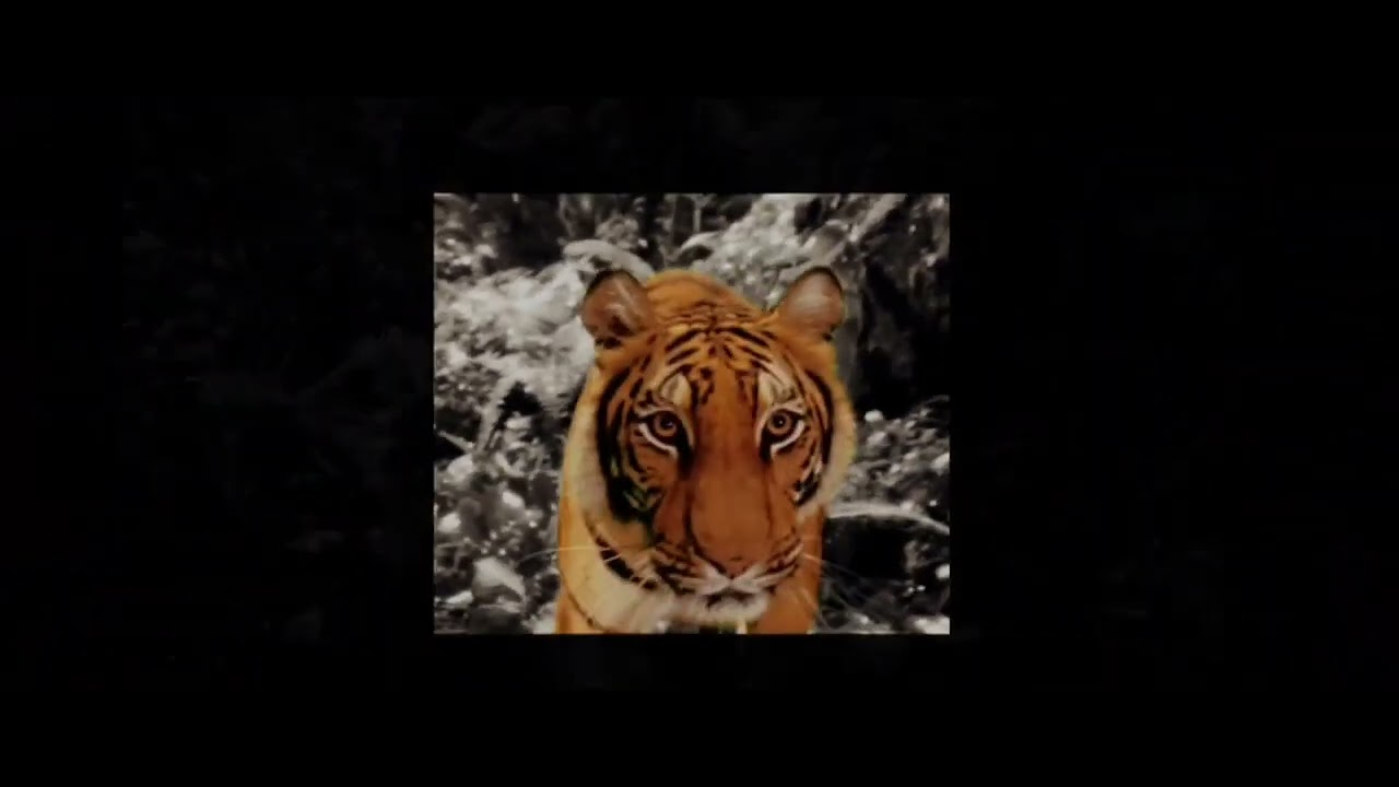 Mandalay Pictures (byline Lionsgate) (2020) - YouTube