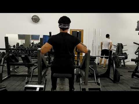 ESPALDA REMO HAMER - YouTube