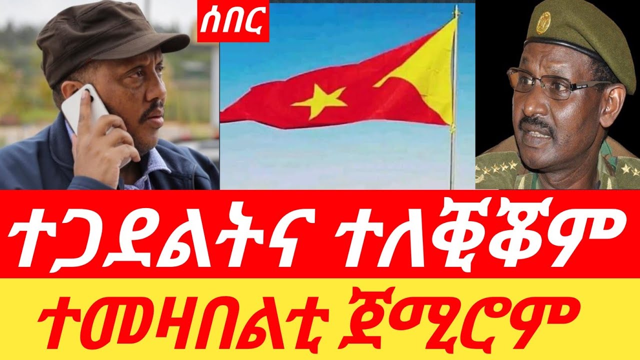ሰበር! ተጋደልትና ተለቒቖም፣ ተመዛበልቲ ጀሚሮም፣ ፀገም ፓስፖርት ተቓሊሉ #tigray_tv #zena ...