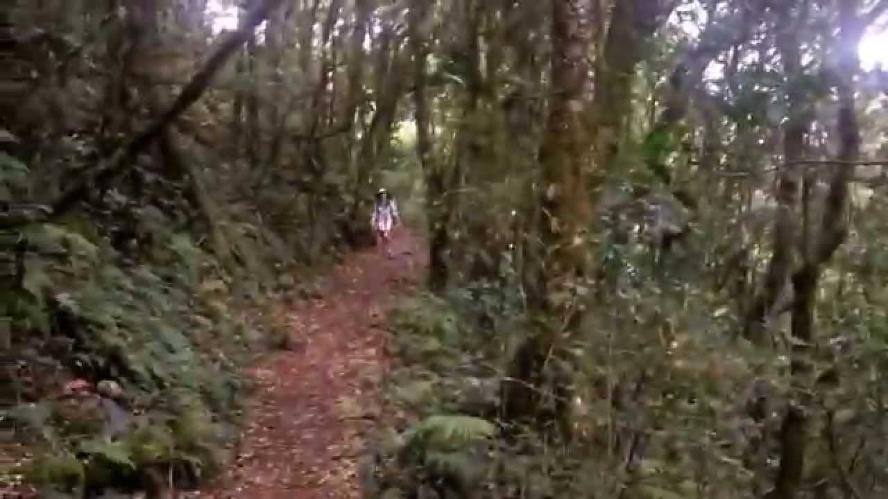 Mount Mitchell Hike near Boonah, Qld, Australia. Sunday October 2015 ...