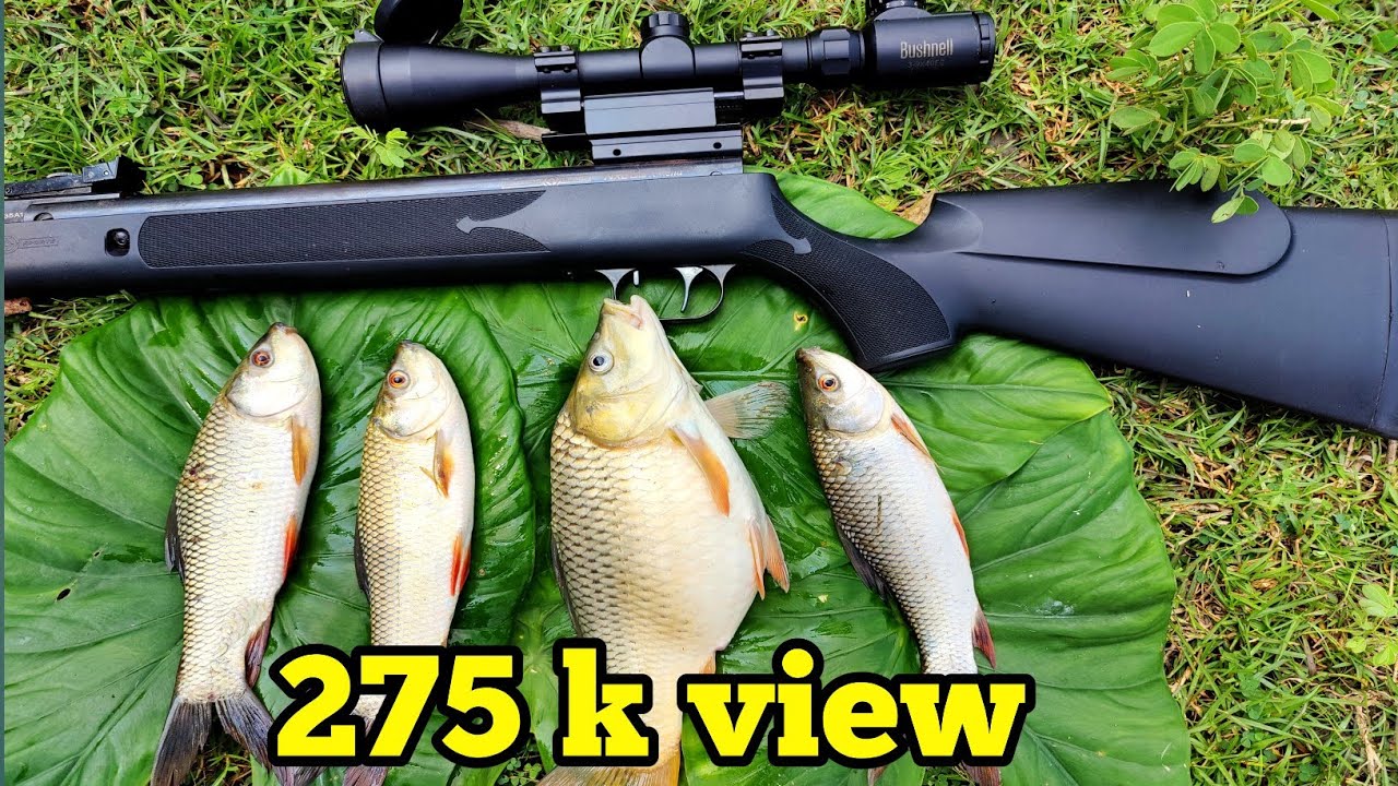 Fish hunting nx200 Athena with Bushnell scope || Fishing Nx200. - YouTube