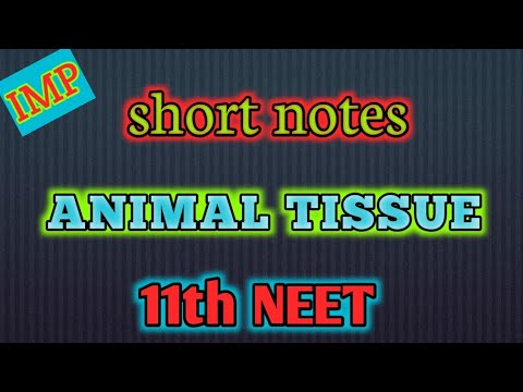 Short notes of ANIMAL TISSUE || 11th NEET.... - YouTube