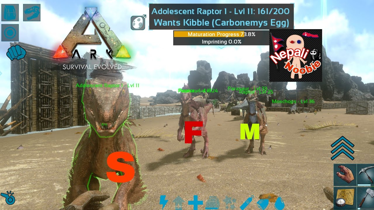 ARK : Survival Evolved Mobile - How to hatch and breed Raptor - YouTube