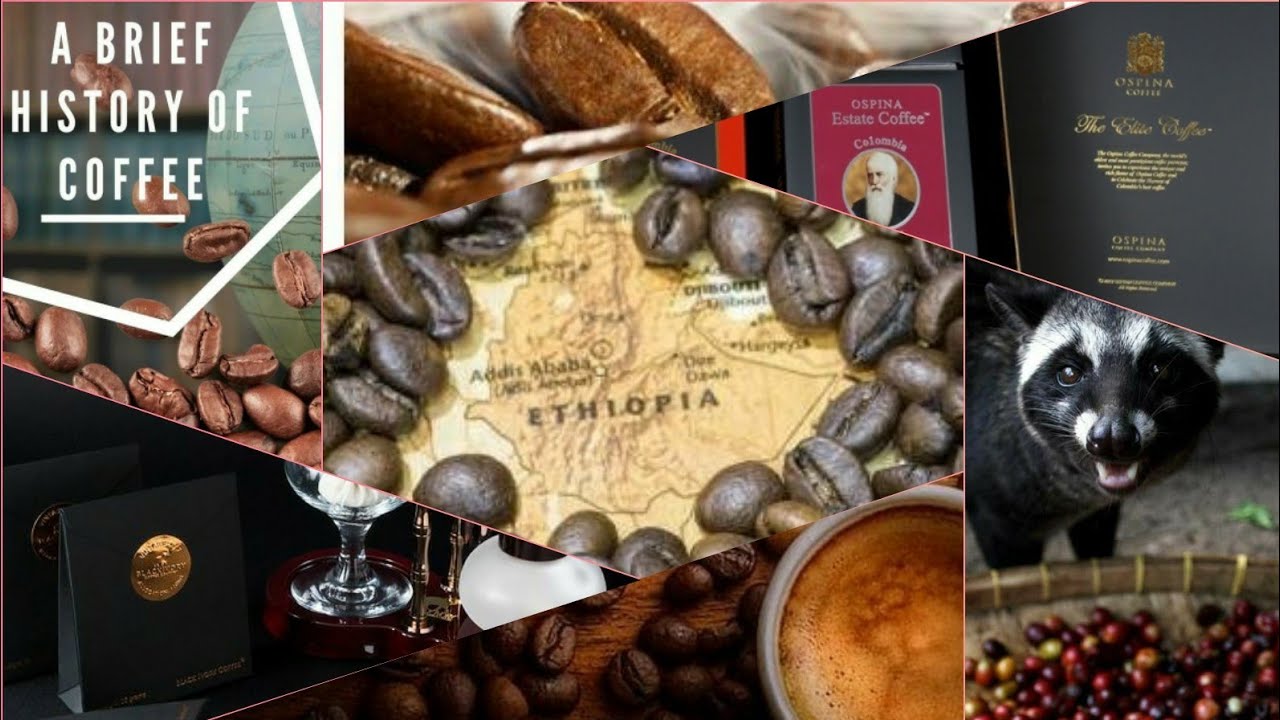 All About Coffee || History ng Kape || Types of Coffeebeans at Ilan sa ...