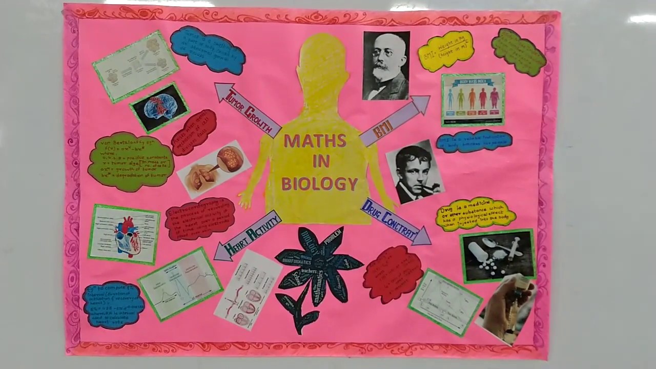 Maths poster presentation - YouTube