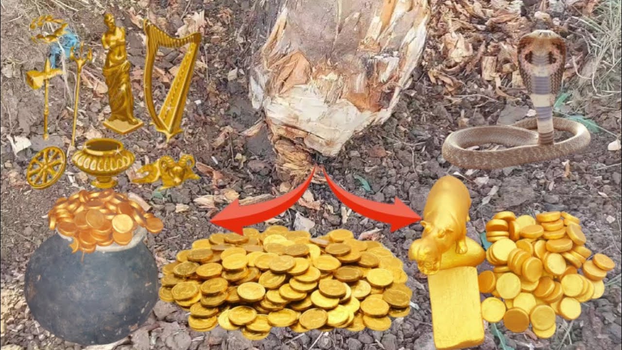 We found a lot of treasure under the tree 💰😱 / 30 years old treasure 🤑🤑 ...