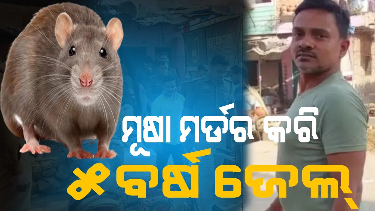 5 Year Jailed in Rat Murder Case - Why Did Manoj Sentence Rats to Death ...