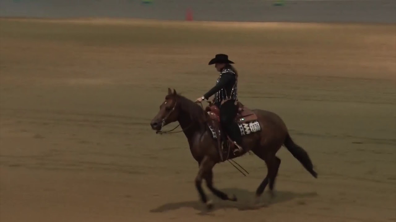 180223 Alicia Rapp on Magnificent Dreamer NP - YouTube