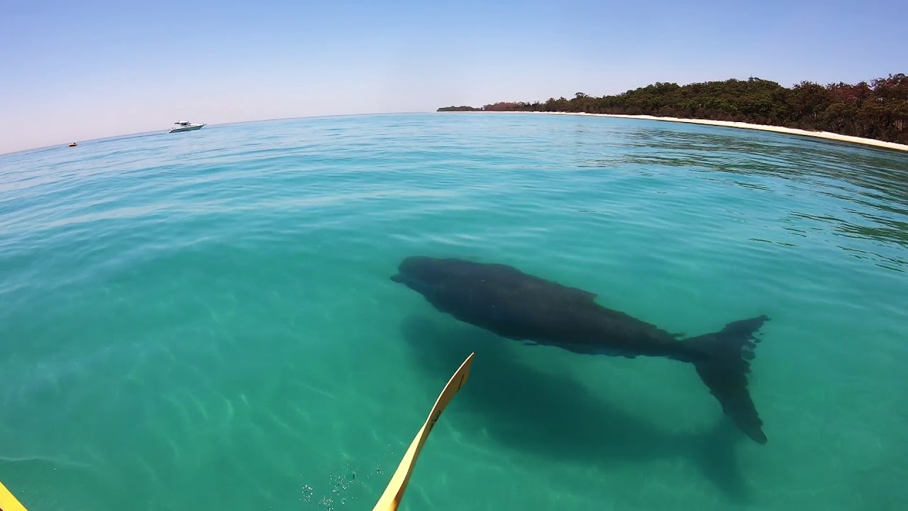 Moreton Island Sea Kayaking Expedition December 2019 - YouTube