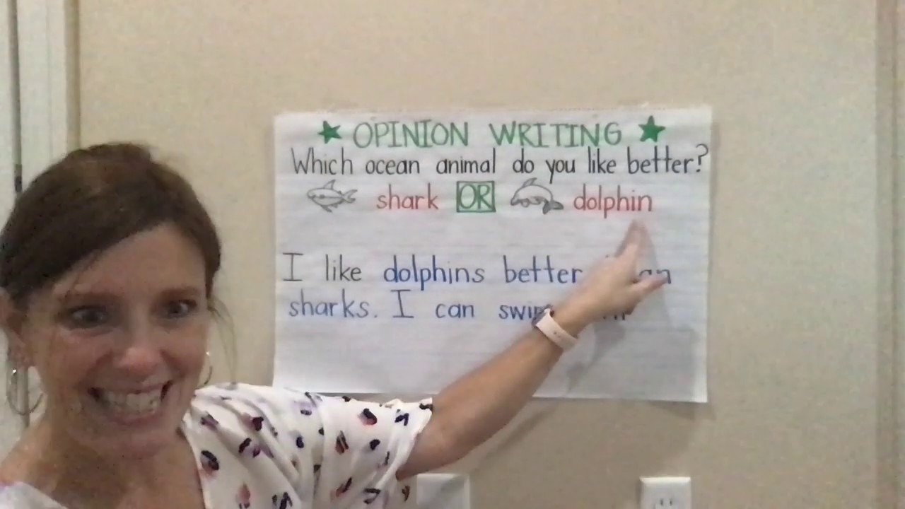 Sharks and Dolphins Opinion Writing - YouTube