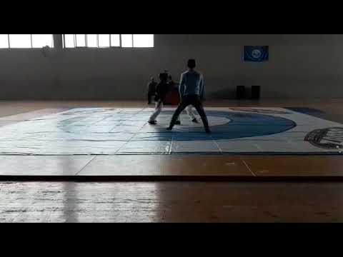 Qalib narıncı kemer