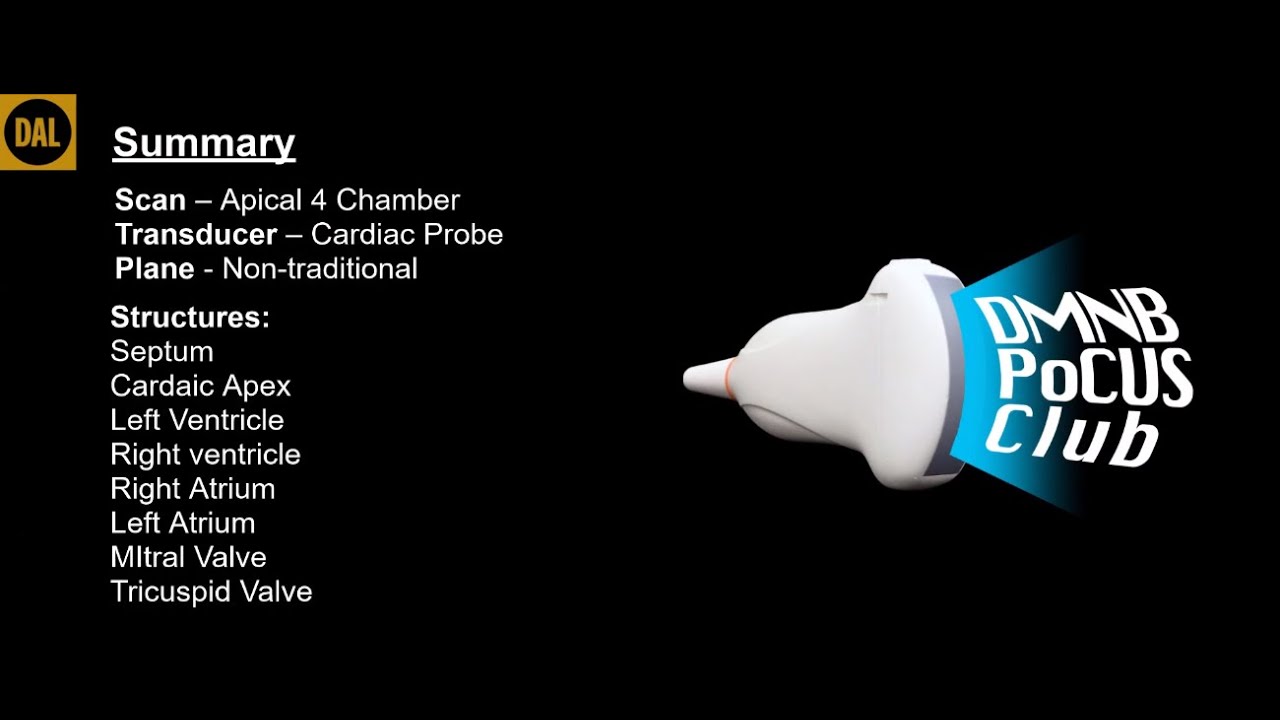 DMNB PoCUS Series: Four Chamber Apical Cardiac - YouTube