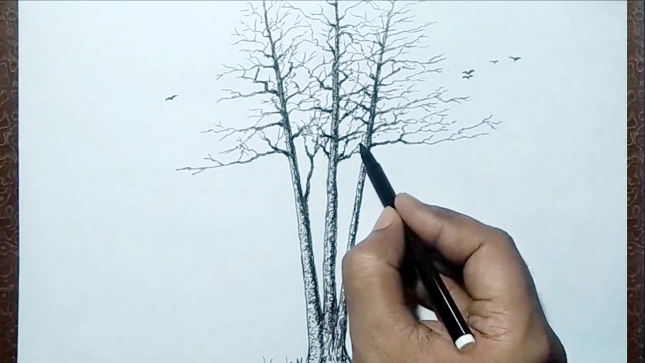 Three Tree Drawing - YouTube