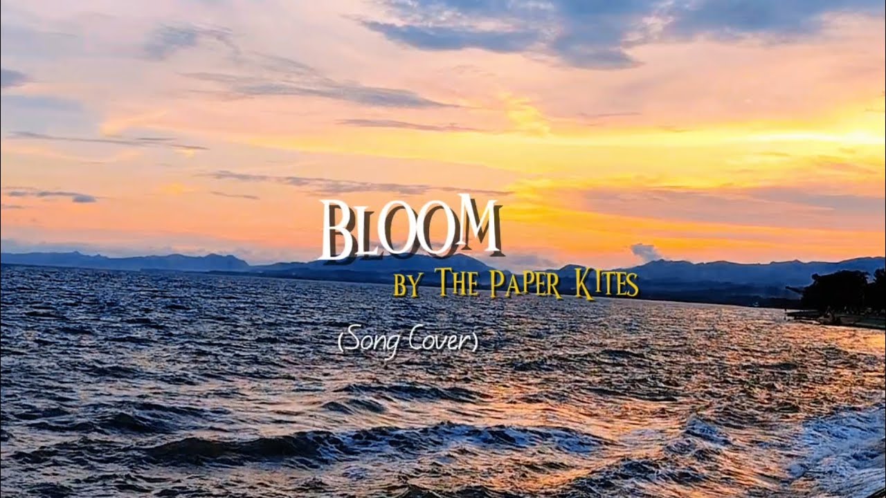 Bloom // The Paper Kites (Song Cover) - YouTube