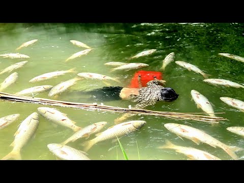 Full video: 120 days of catching giant fish and harvesting lemons to sell at the market.