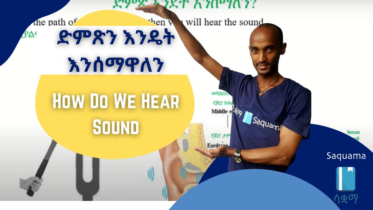 How Do We Hear Sound | ድምጽን እንዴት እንሰማዋለን - YouTube