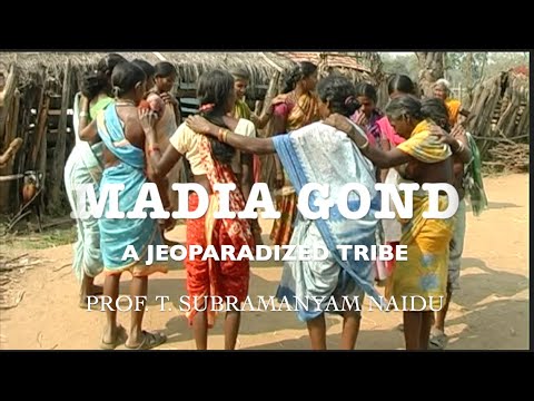 SNO:43.MARIA GOND- A JEOPARADIZED TRIBE: STRUGGLING FOR SURVIVAL ...