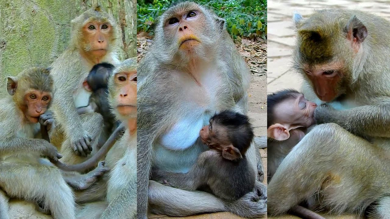 Ada mum d,.on't care everyone she hug baby Alaska drink full milk ...