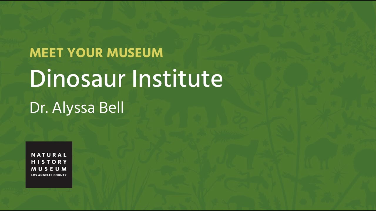 Meet Your Museum: Dr. Alyssa Bell, Dinosaur Institute - YouTube