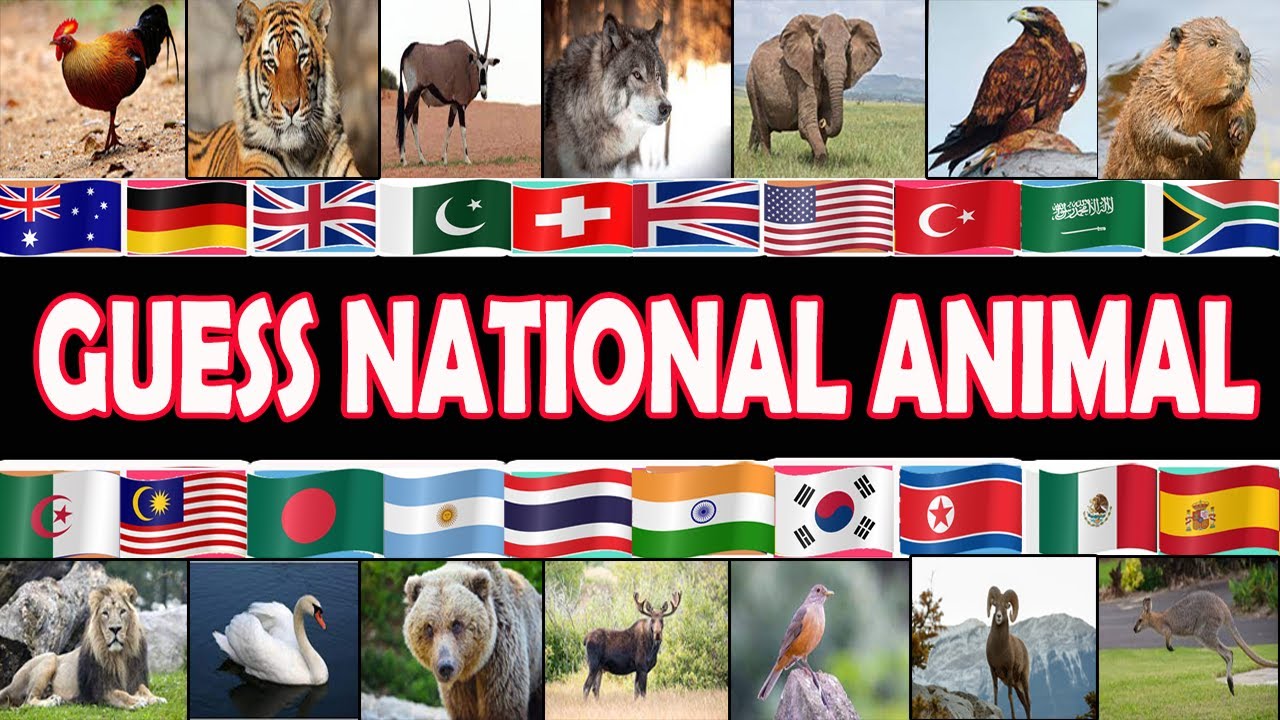 FLAGS🚩AND NATIONAL ANIMAL🐆 OF COUNTRY( ALPHABETICALLY) - YouTube